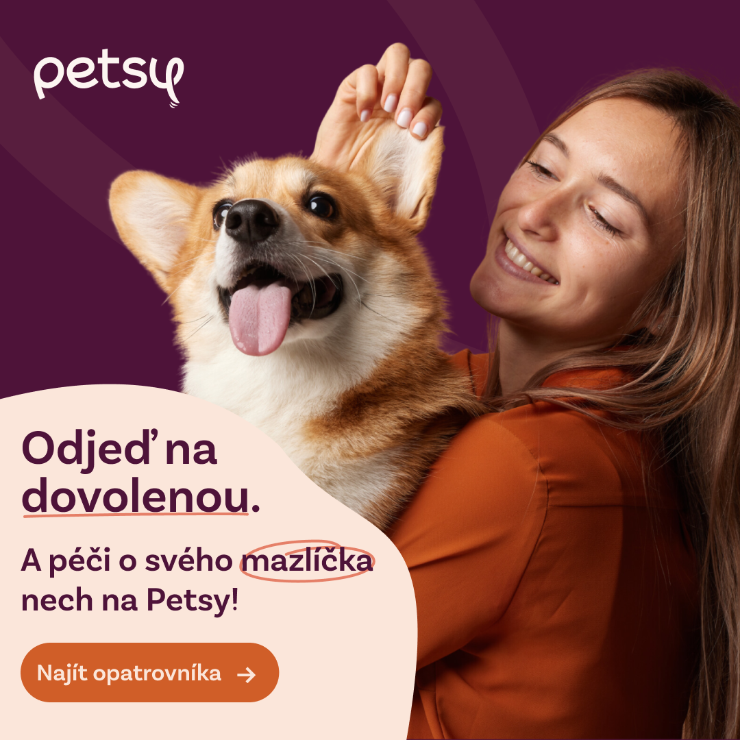 Psí štěkání: Co znamená a lze ho psa odnaučit? Jaká je příčina ...